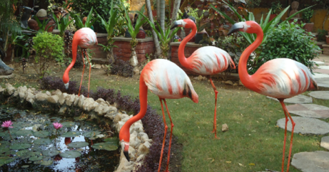 Major Attractions of Anand - Gujarat Orbit