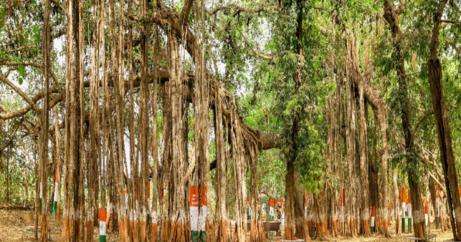 2-Day Bharuch Travel Itinerary - Gujarat Orbit